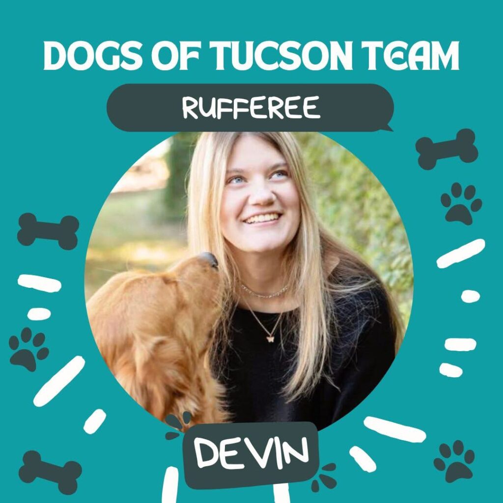 About Dogs of Tucson | Indoor Outdoor Members-Only Dog Park Tucson, AZ